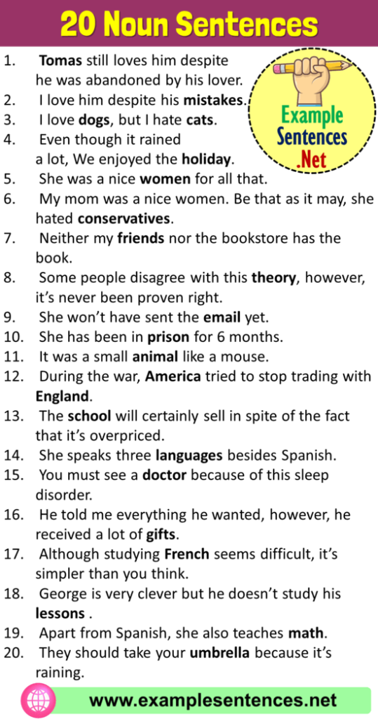 20 Examples of Noun Sentences, Noun Sentences Examples - Example Sentences