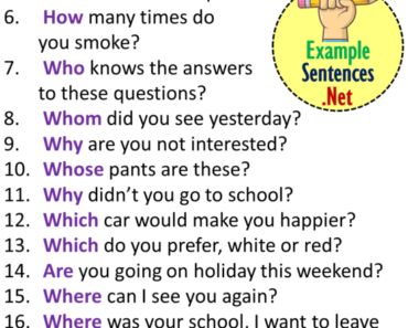 30 Interrogative Sentences Examples, Definition and Examples - Example ...