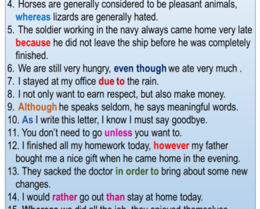 20 Sentences with Conjunctions, Example Sentences with Conjunctions ...