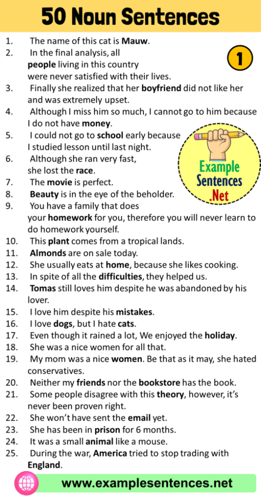 50 Examples of Noun Sentences, Noun Sentences Examples - Example Sentences