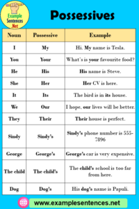 11 Possessives Example Sentences - Example Sentences