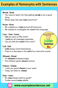 Examples of Homonyms with Sentences - Example Sentences