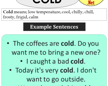 Sentences with Clever, Definition and Example Sentences - Example Sentences