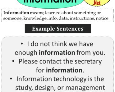 Sentences with Best, Definition and Example Sentences - Example Sentences
