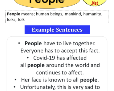 Sentences with Best, Definition and Example Sentences - Example Sentences