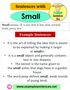 Sentences with Small, Definition and Example Sentences - Example Sentences