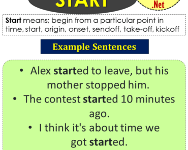 Sentences with Unique, Definition and Example Sentences - Example Sentences