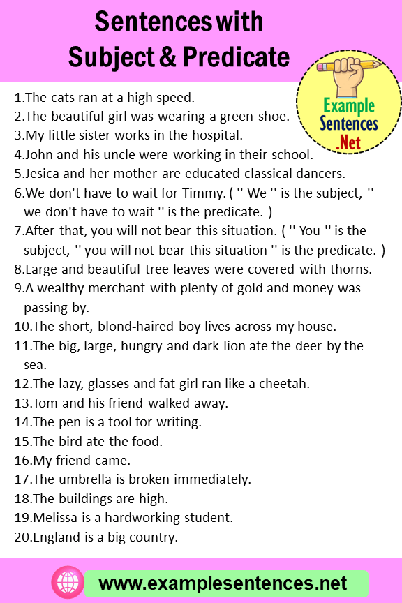 Sentences With Subject Predicate Examples Example Sentences