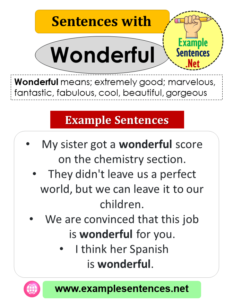 Sentences with Wonderful, Definition and Example Sentences - Example ...