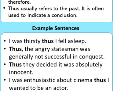 Indeed in a Sentence, Definiton and Example Sentences - Example Sentences